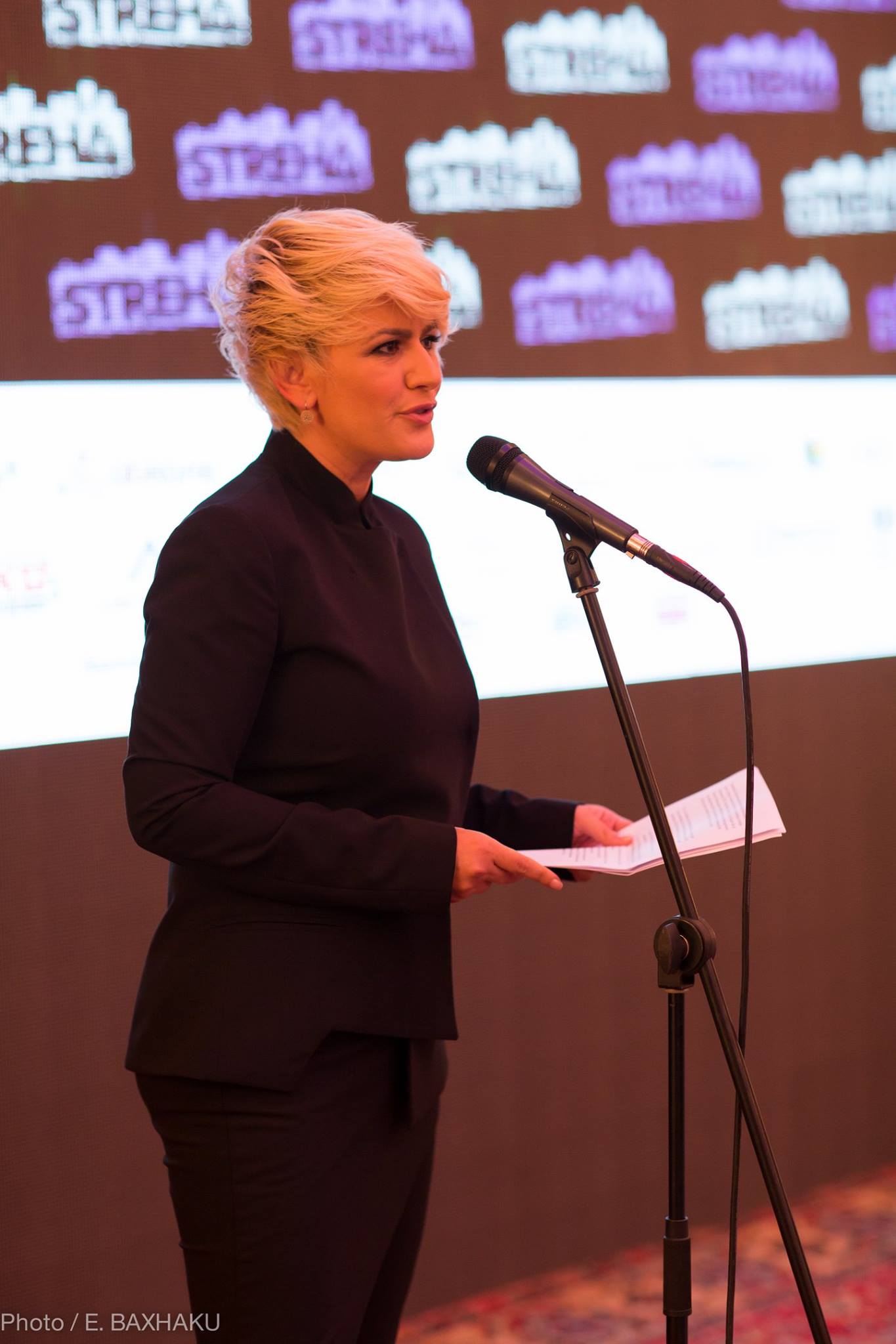 Gala 2016 – Streha Center