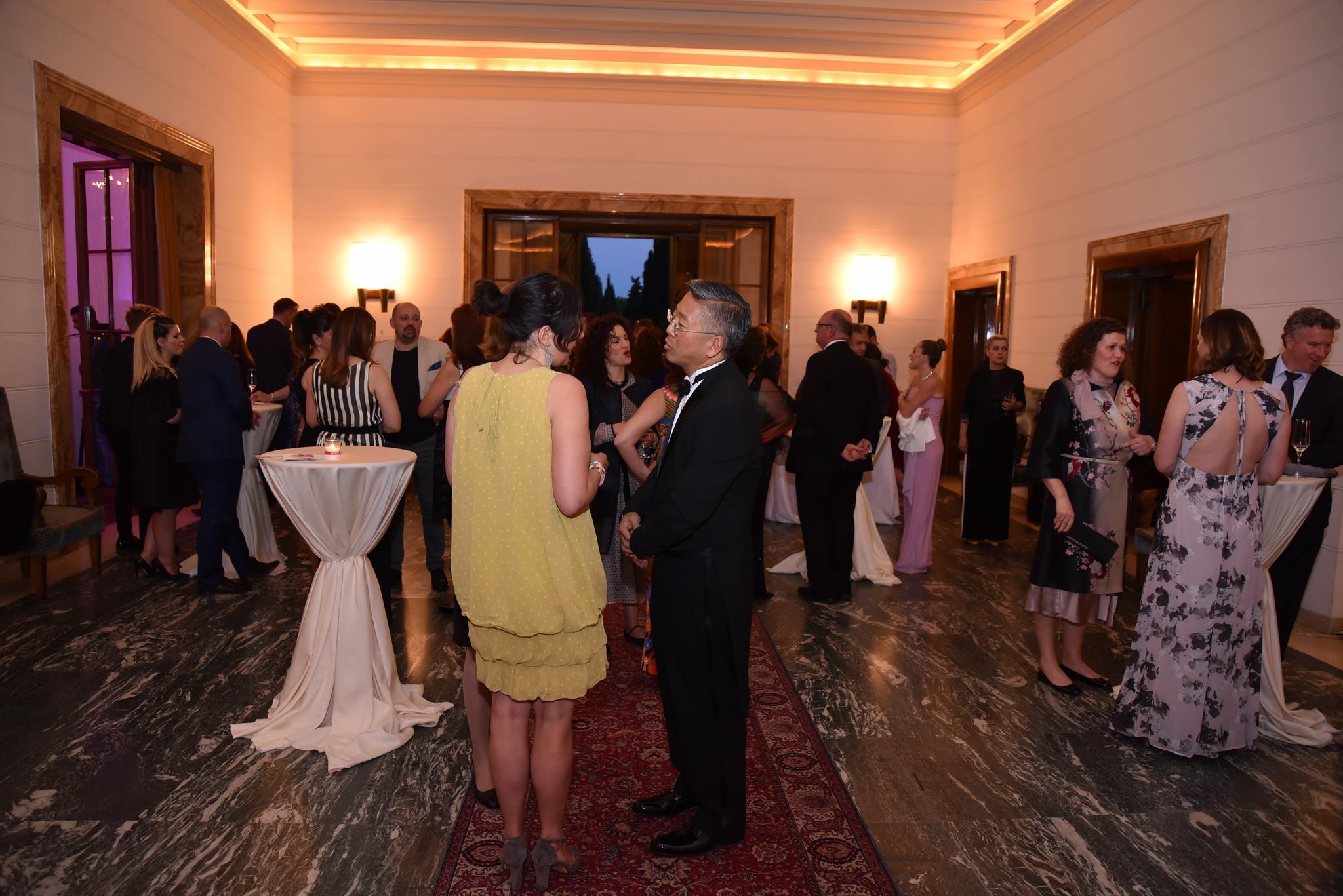 GALA 2017 – Streha Center